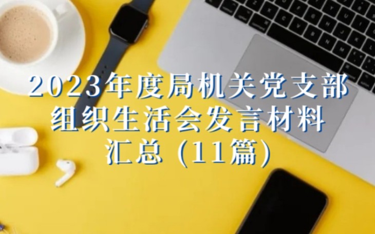 2023年度局机关党支部组织生活会发言材料汇总 (整理11篇)