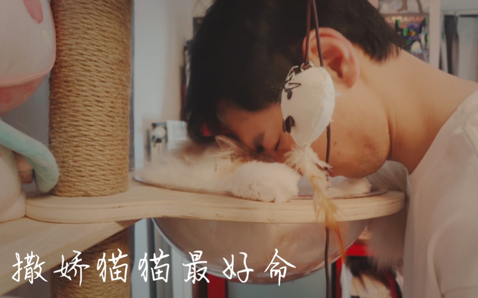 撒娇猫猫最好命,又名瓜蛋:蒲熠星,双标是吧?黑名单见