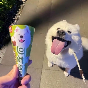 过期的鱼罐头140 