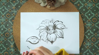 水墨画小花简笔画,1分钟让孩子学会简笔画教程