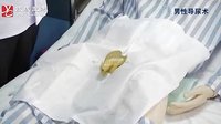 【银成医考】19导尿术 标清