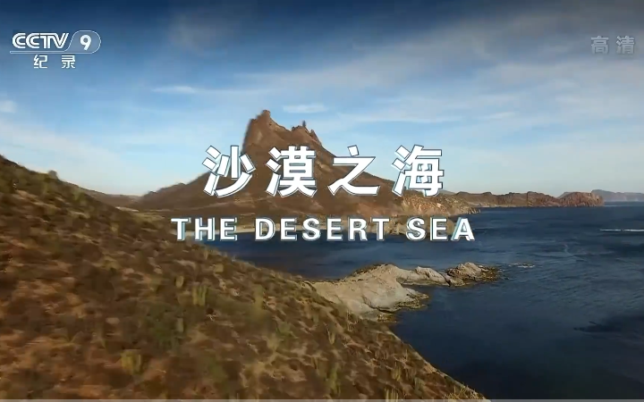 CCTV9 纪录片《沙漠之海》冯洋 著名电台主持人 解说版 【全2集】...