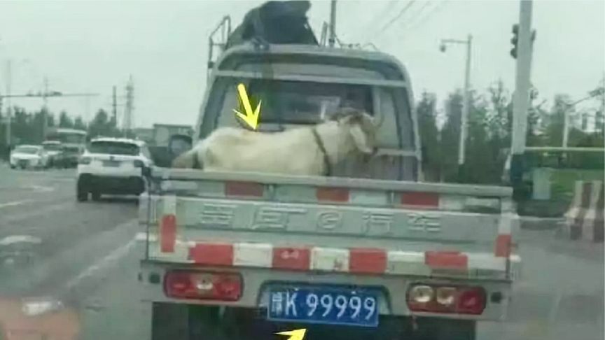 对车牌号不满意?车管所:满足这2个条件,115元轻松更换心仪车牌