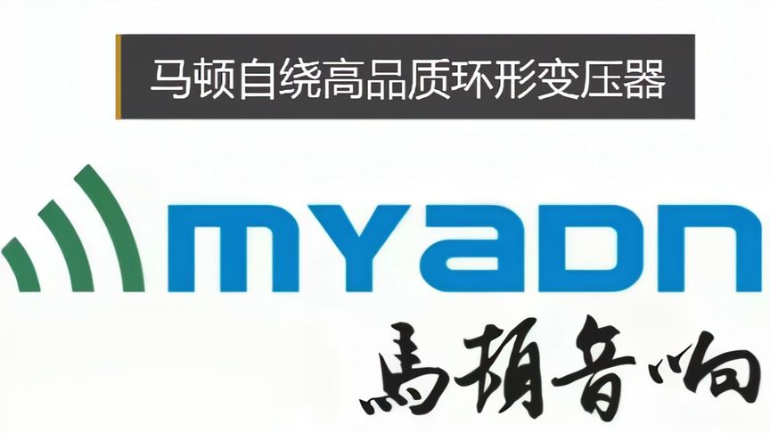 马顿音响 高品质环牛变压器绕制生产