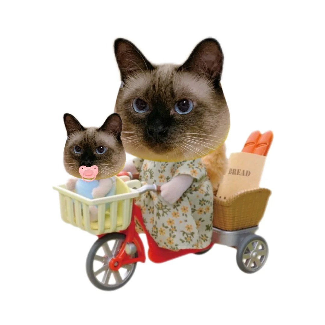 逻辑猫小葡萄 