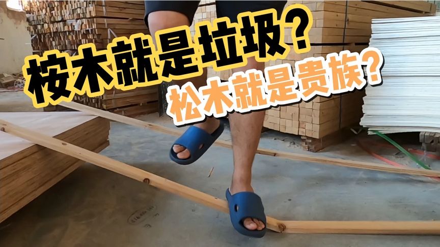 市面上的松木框架是怎样的?松木vs桉木,结果你一定想不到