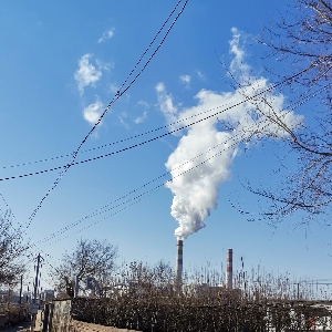西北老马药材 