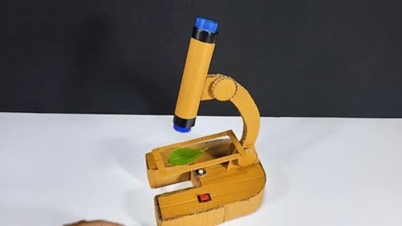 教你用纸皮制作显微镜,能放大叶片,简单又好玩!