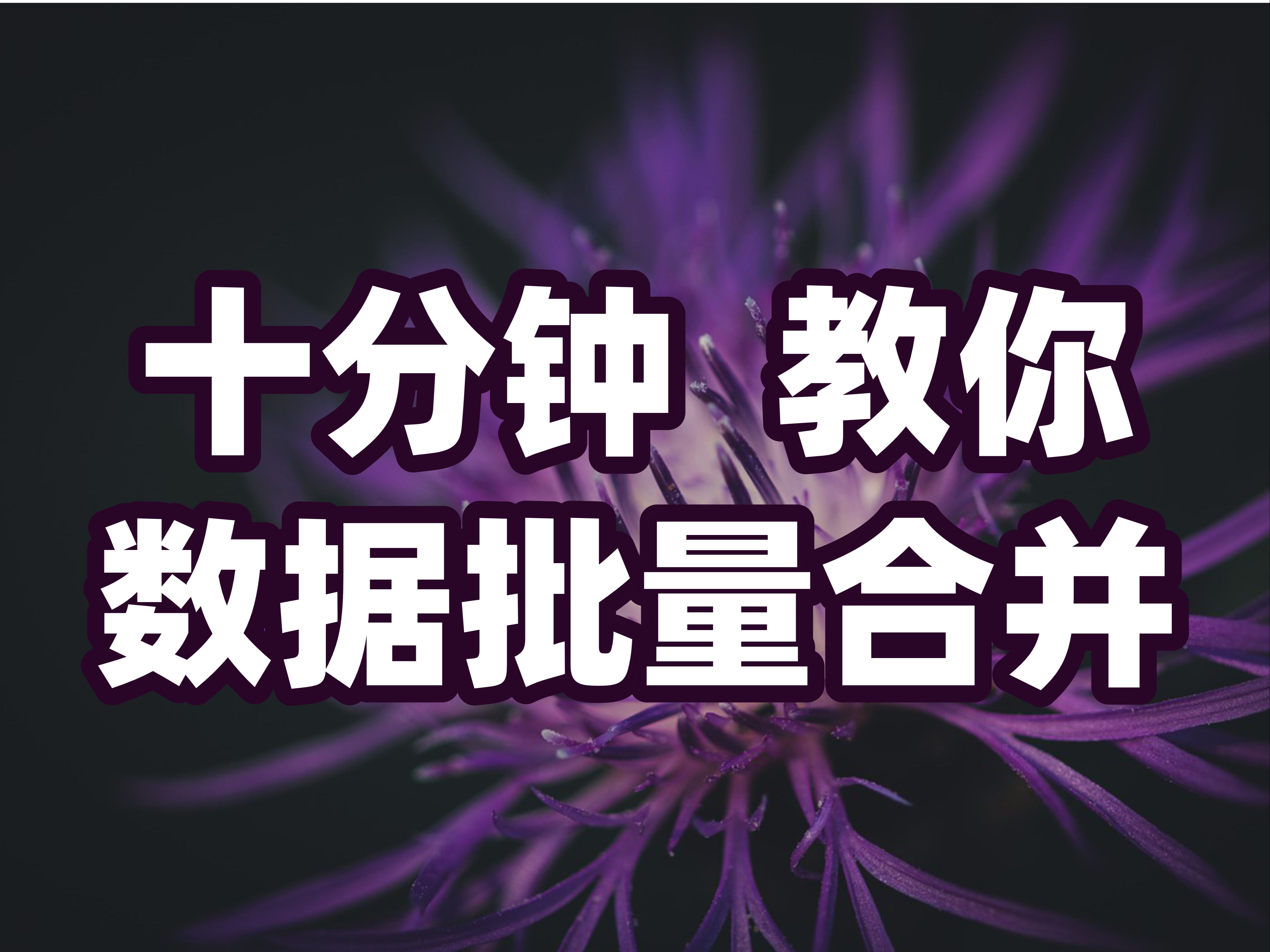十分钟 教你数据批量合并丨数据替换丨Adobe Illustrator 丨Affinity ...