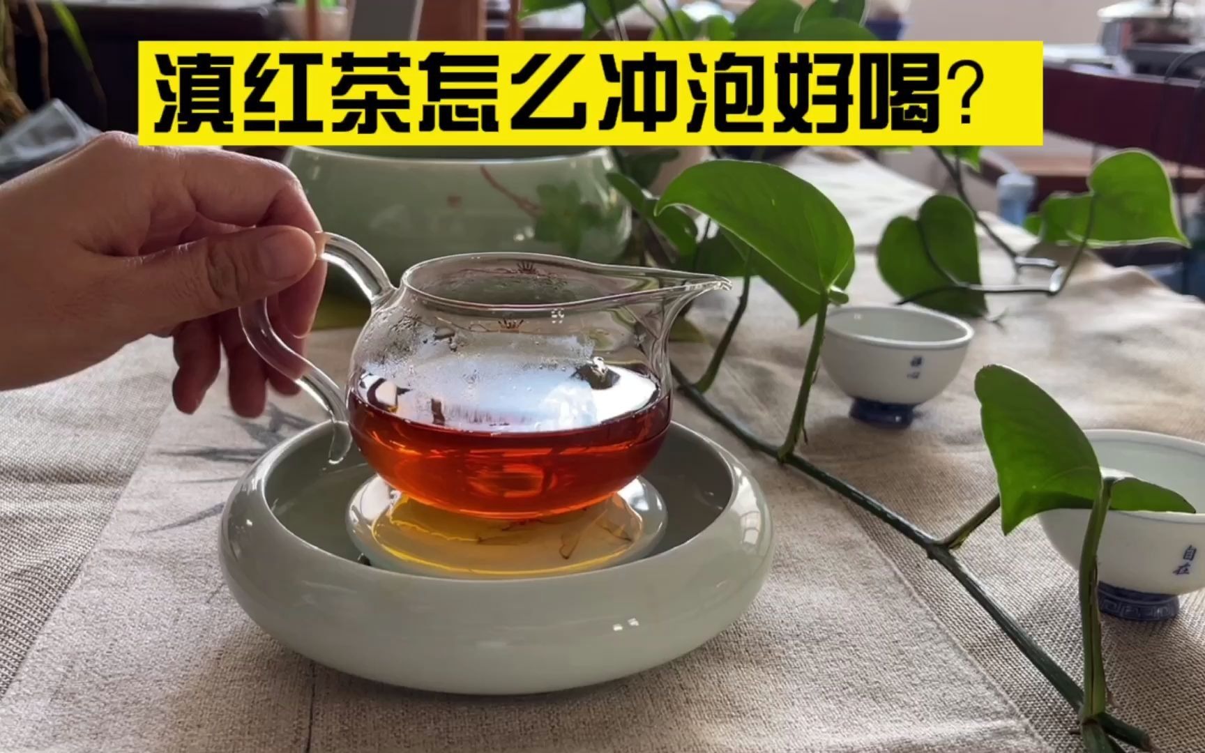 滇红茶怎么泡好喝?滇红茶的泡法!