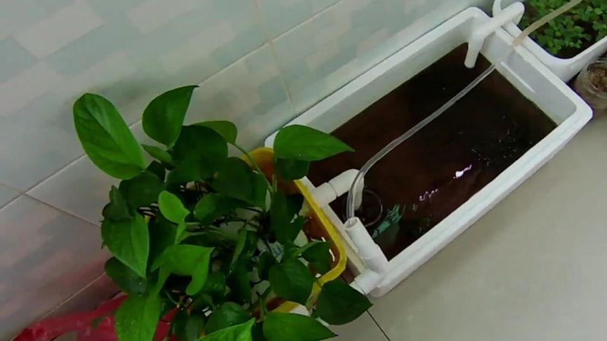 网友问鱼缸过滤器怎样做,现在来分享我这个过滤器,拆开分解。