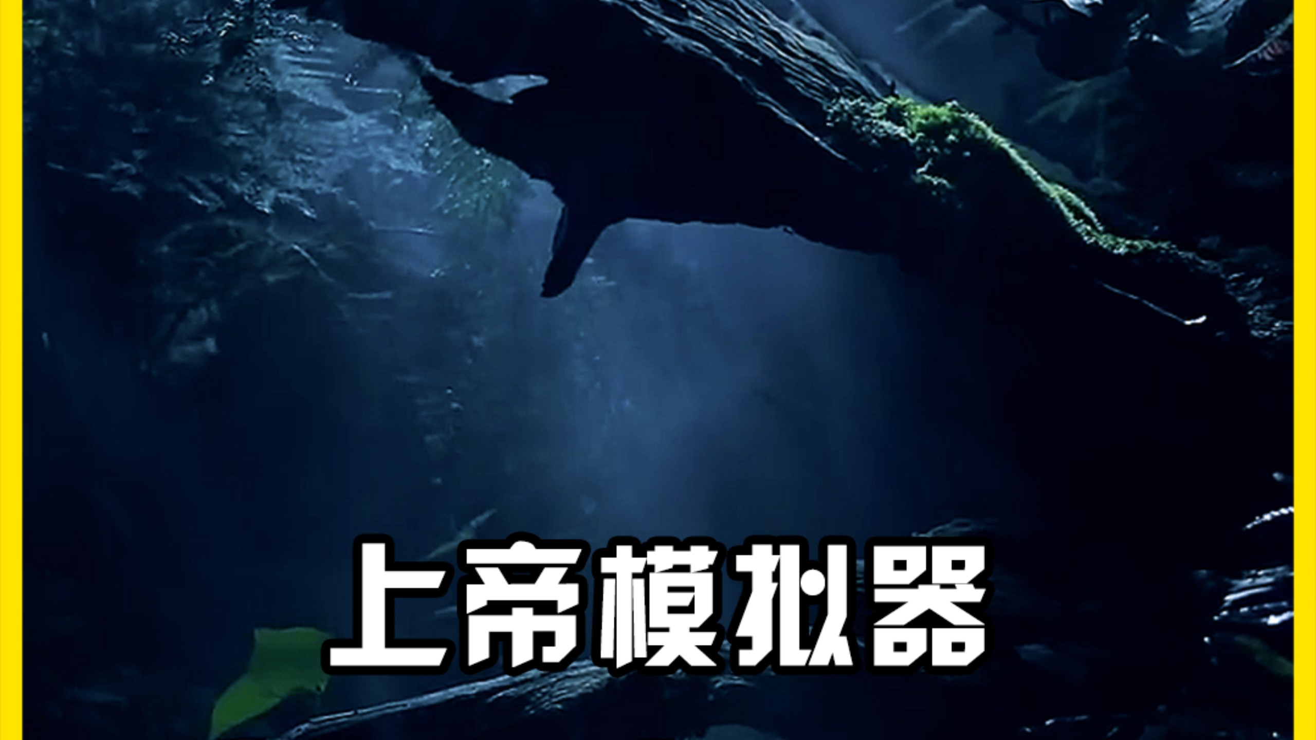 上帝模拟器之雨林生态系统6