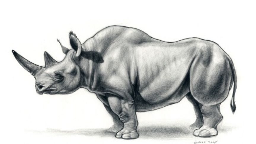 Rhino5.0基本操作二、选项设置