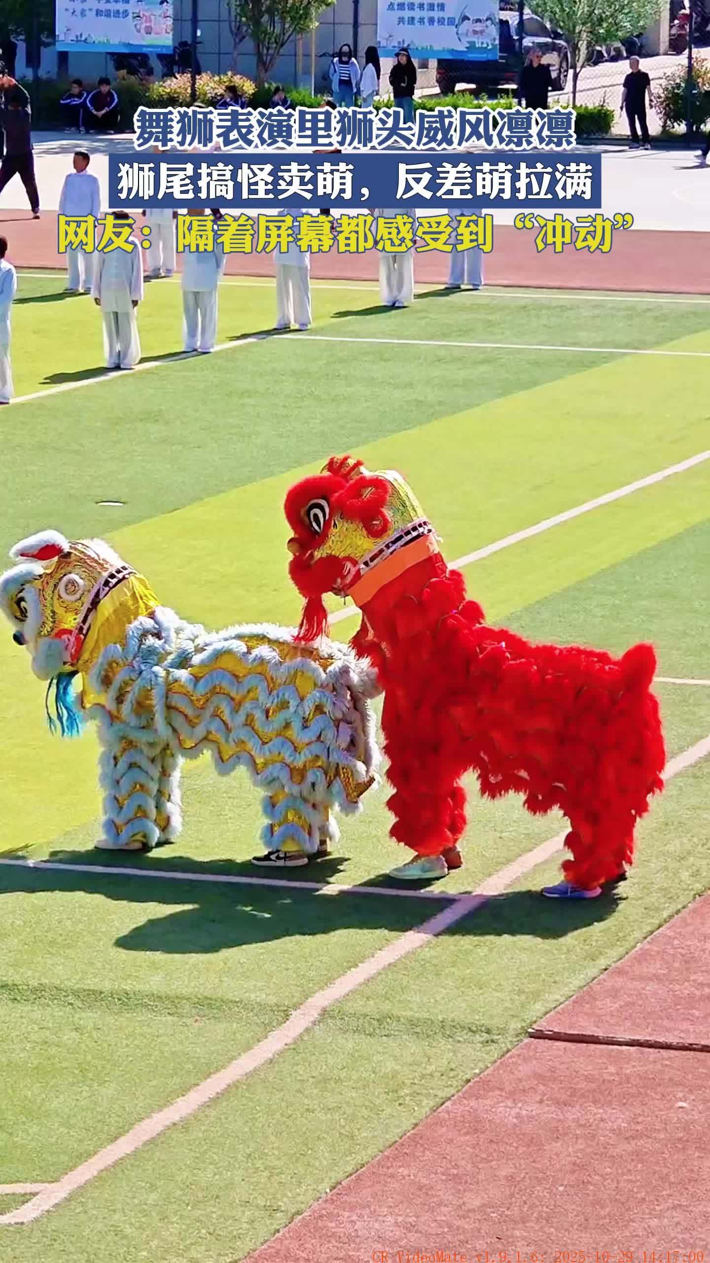 舞狮表演里狮头威风凛凛,狮尾搞怪卖萌,反差萌拉满!