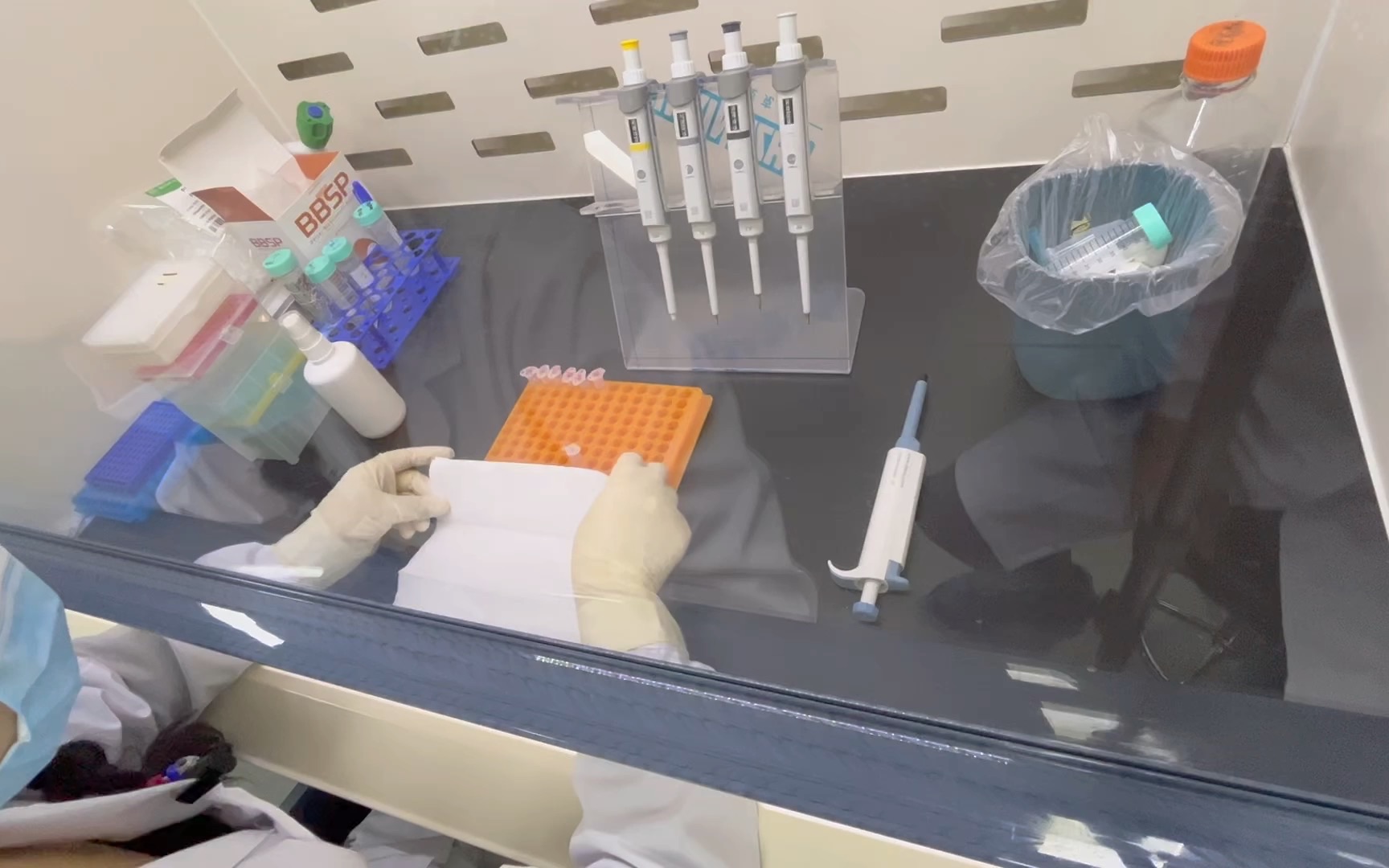 【科研鸡】RNA逆转录-抽提RNA