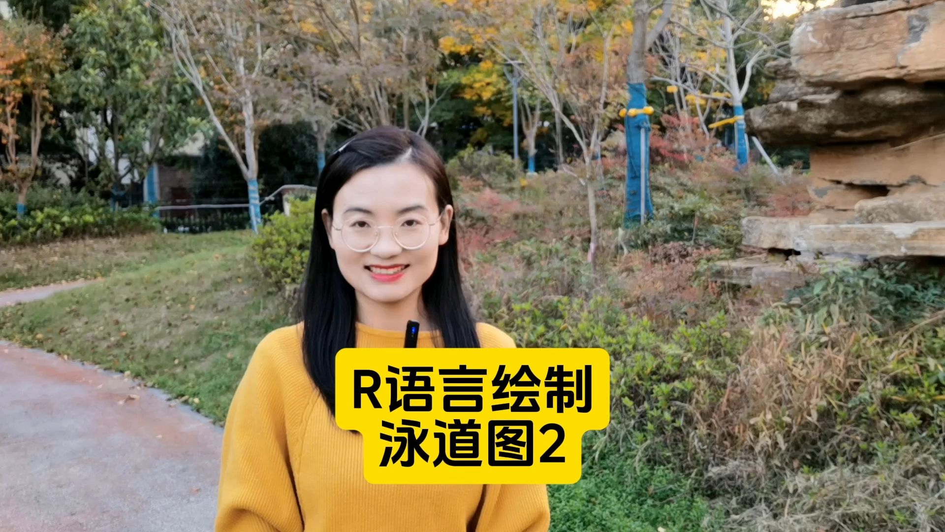 R语言绘制泳道图2