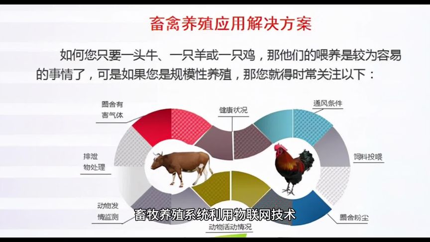 畜禽养殖管理系统利用物联网技术,通过传感器等设备