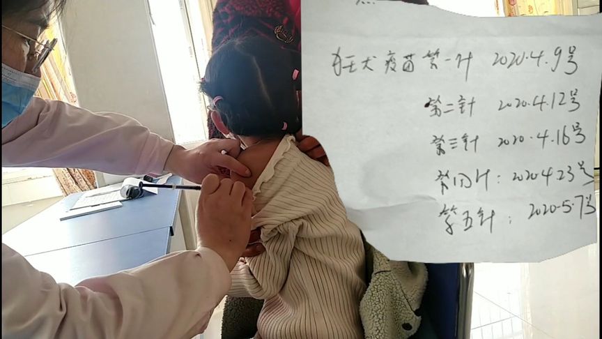 遇到恶狗千万别做这个动作!被咬打狂犬疫苗才去后悔,太倒霉了!