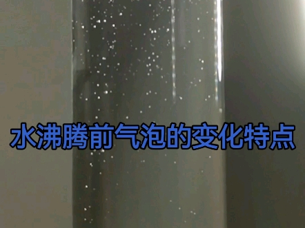 水沸腾前气泡的变化有多神奇