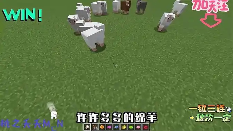 我的世界:橡木块组成的立方体里有折叠的空间能看见许多自己