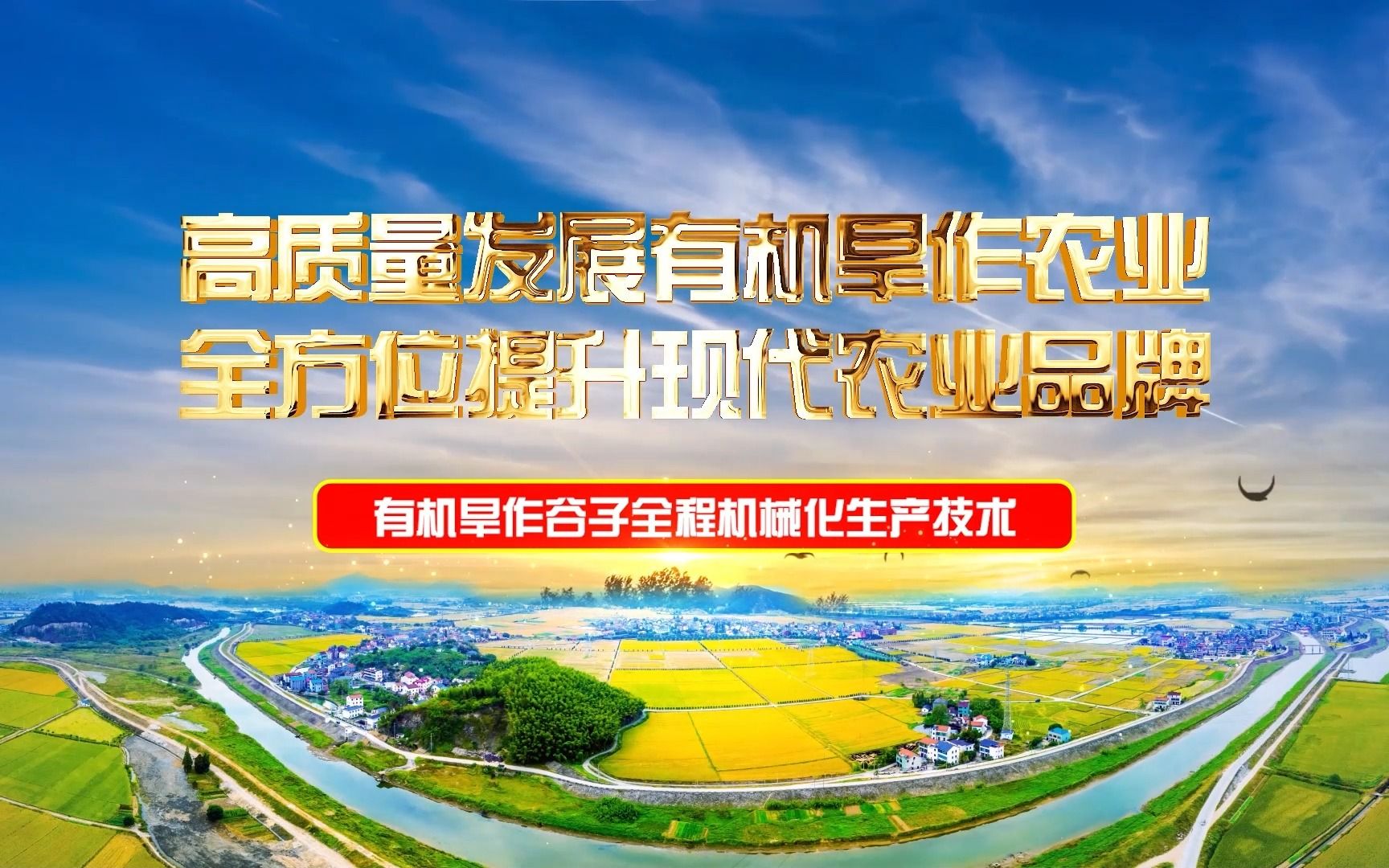 40 有机旱作谷子全程机械化生产技术