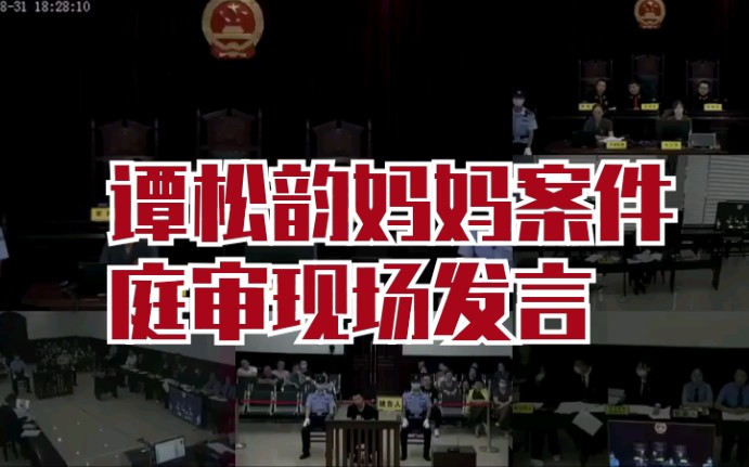 谭松韵妈妈案件庭审现场发言
