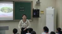 17 记金华的双龙洞(一等奖)-小学语文优质课(2021)