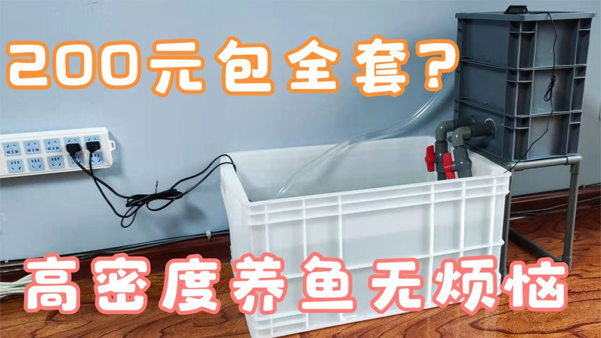 【仓库缸】200元包全套,自制周转箱过滤+周转箱鱼缸+管材支架