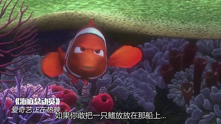 海底总动员(片段):小丑鱼痛失爱子