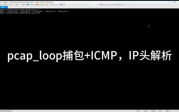 pcap_loop捕包+ICMP,IP头解析