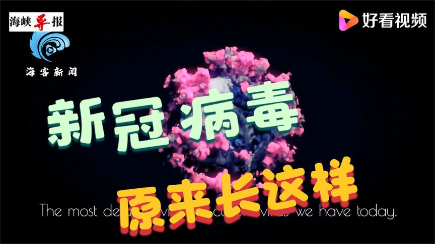 新冠病毒究竟长什么样?首个3D图像曝光:像一颗残败不堪的星球