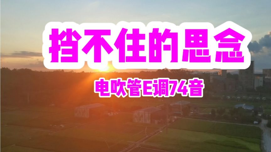 一首陕北情歌《挡不住的思念》炫彩 电吹管演奏,好听!好听!