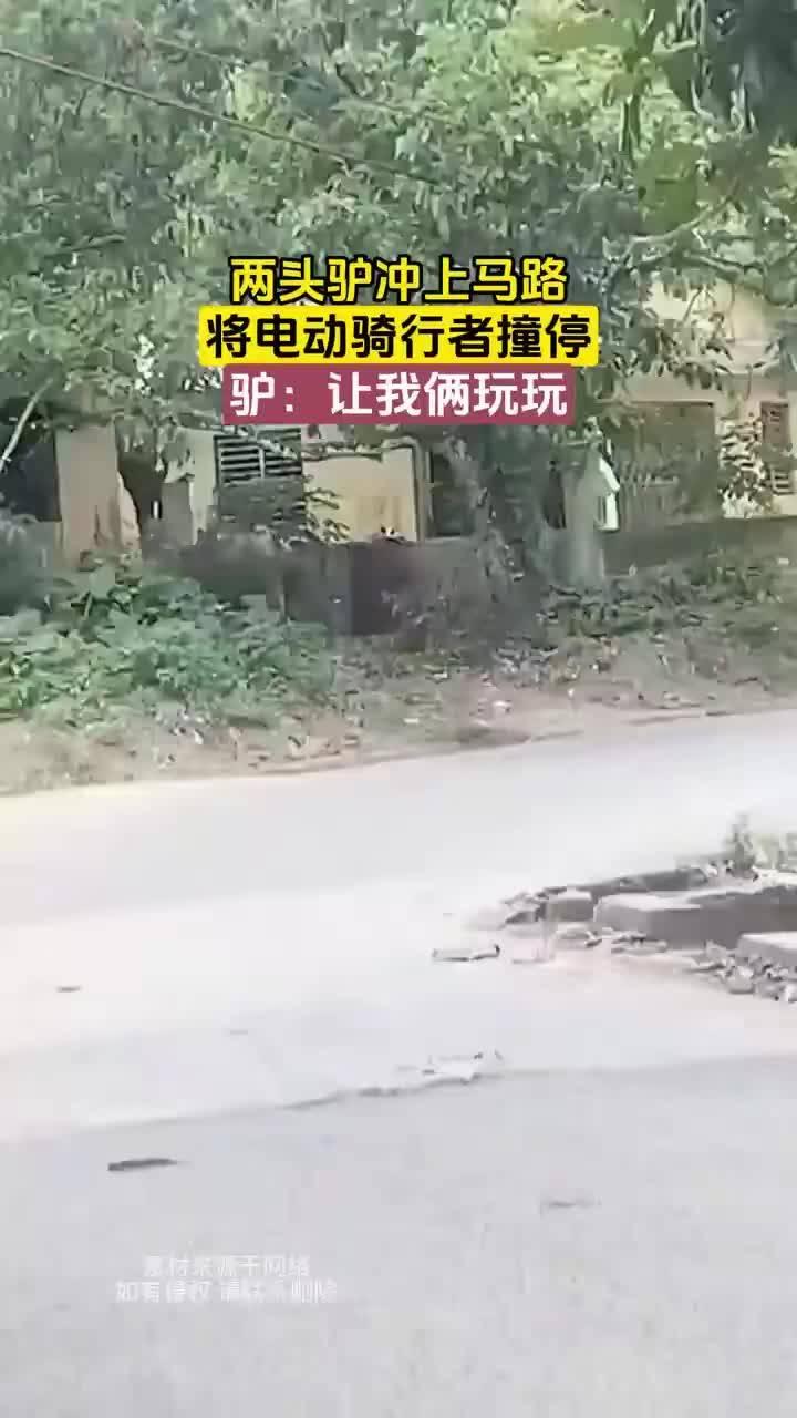 交通事故 家人们,这事故责任怎么认定