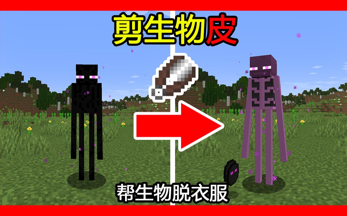 我的世界:帮生物脱衣服,该如何通关MC?_我的世界_实况解说