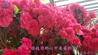 火风演唱的歌曲《开门红》曲风朝气蓬勃，让人听后精神焕发