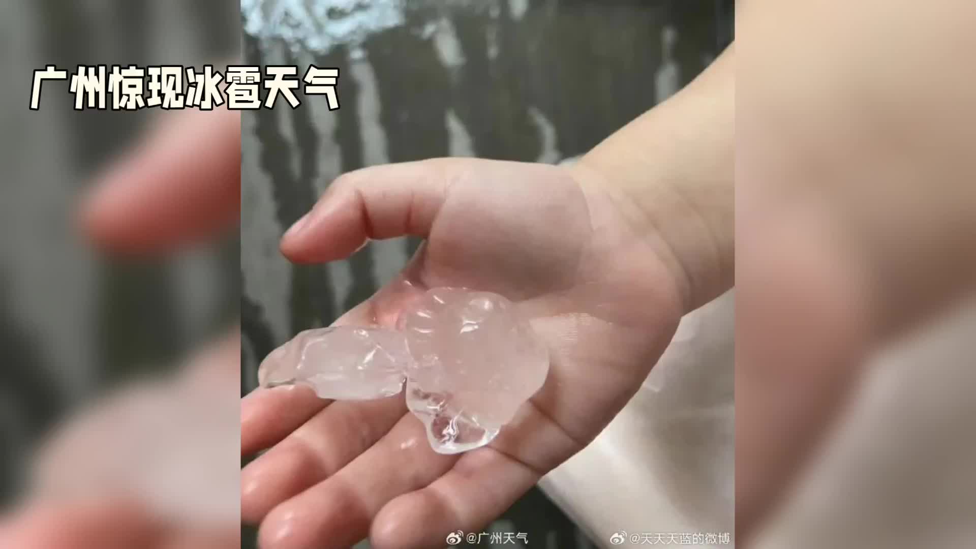 广州惊现冰雹天气 #广州冰雹 #冰雹 #下冰雹 #广州#冰雹雨 #冰雹袭击