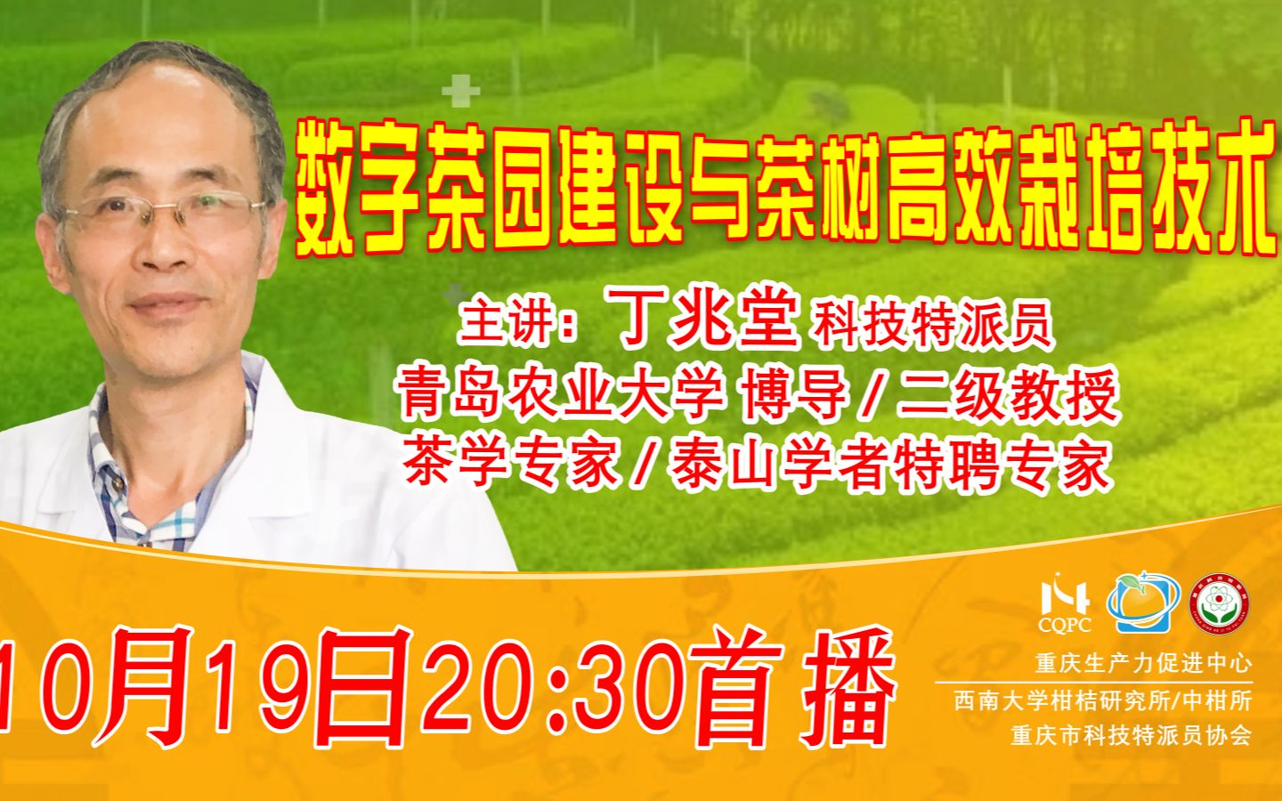 丁兆堂教授:数字茶园建设与茶叶高效栽培技术