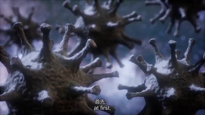 新型冠状病毒 肺炎 是如何感染我们的身体的【机器字幕压制】