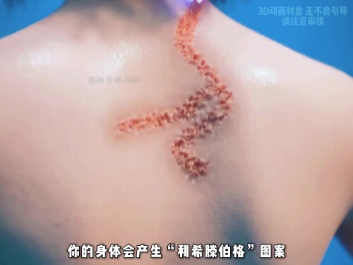 什么是有轨电车难题?脑子痒了