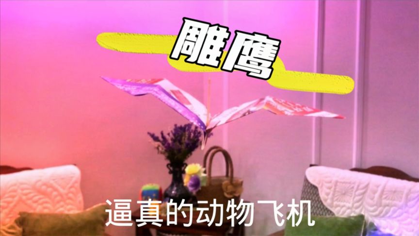 雕鹰,逼真的仿动物纸飞机