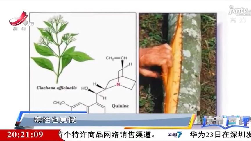 柳树皮竟能治疗发烧,效果还特别显著,这个说法一出迅速被推广开