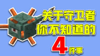 我的世界:守卫者你不知道的事,荆棘附魔原来是从它身上获得的!