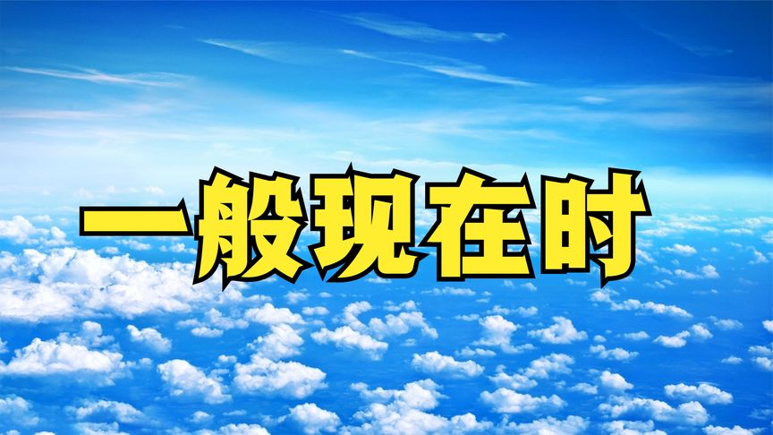 一般现在时 主语+实义动词句型