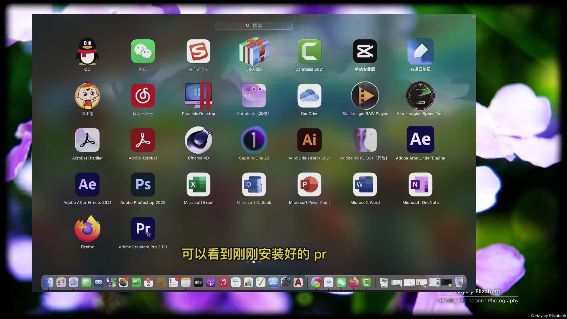 2022(PR) v20.0 中文一键安装破解版 64位 下载-脚本之家
