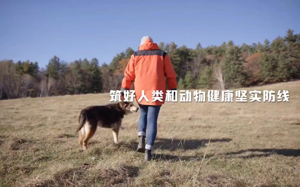 动物医学专业 邀你一起守卫所有生命的健康