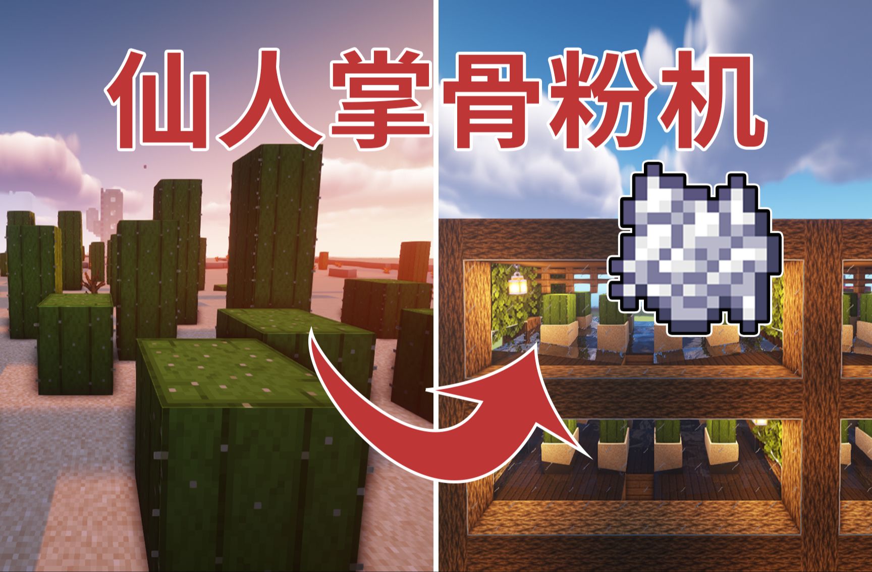 在我的世界里做一个简易自动骨粉机!_单机游戏热门视频