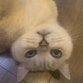 怡萱的快乐星球