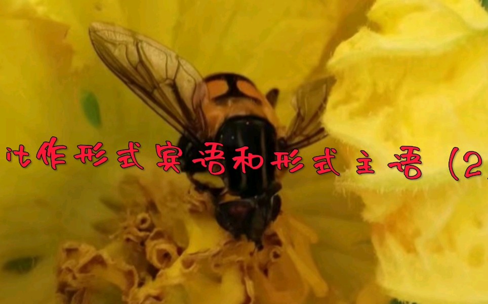 it作形式宾语和形式主语(2)