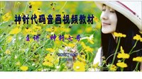 代码音画里如何加字以及如何做文字滚动(神针老师主讲)