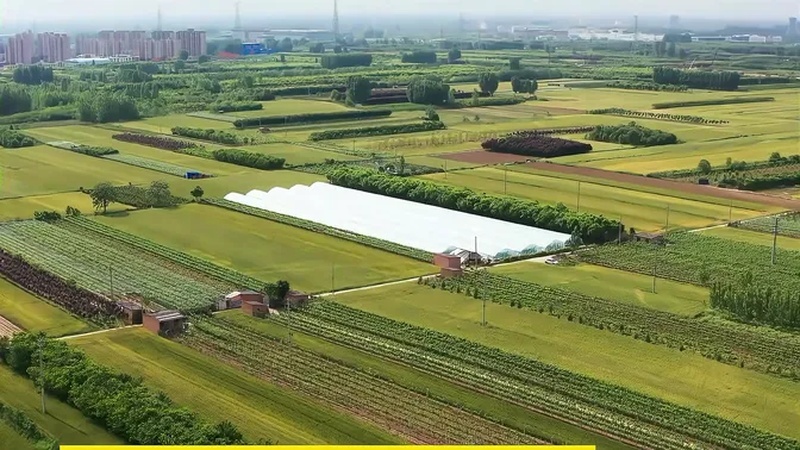 阜阳在全国率先基本完成二轮土地延包合同整市网签